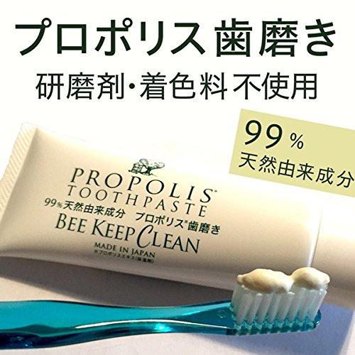 Buy Propolis Toothpaste Bee Keep Clean 100g from Japan - Buy authentic ...