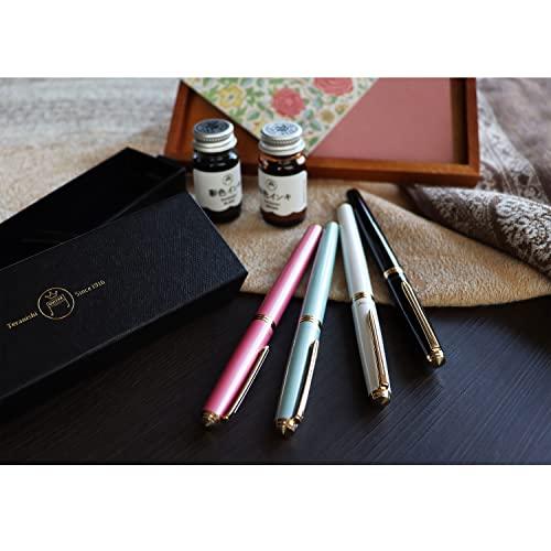 Teranishi Kagaku Guitar Fountain Pen Brillante Black F GFPNB-BK-F - 網購 ...