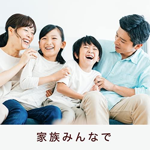 ロッテ パイの実 73g×10個 - 日本の商品を世界中にお届け | ZenPlus