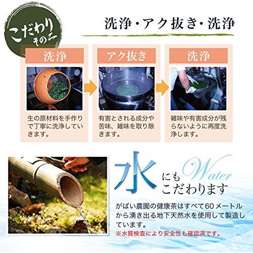がばい農園 有機栽培 国産 手作り グァバ茶 2g×40包 オーガニック お茶 ノンカフェイン 健康茶 ティーバッグ JAS 無添加 鹿児島県産 - 日本の商品を世界中にお届け | ZenPlus