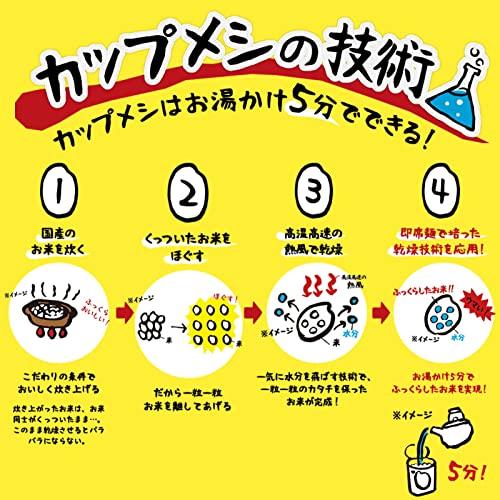 Curry Meshi Hayashi Meshi Demi-glace Nissin Foods Instant Rice 103g x 6 ...