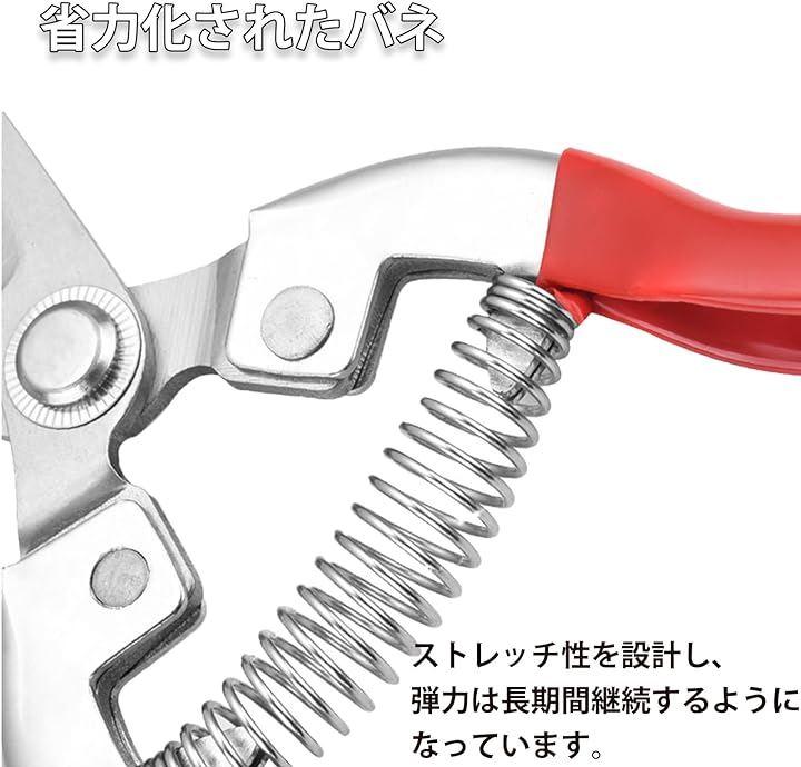 Pruning shears bonsai gardening flower garden scissors fruit tree stainless steel gardening ...