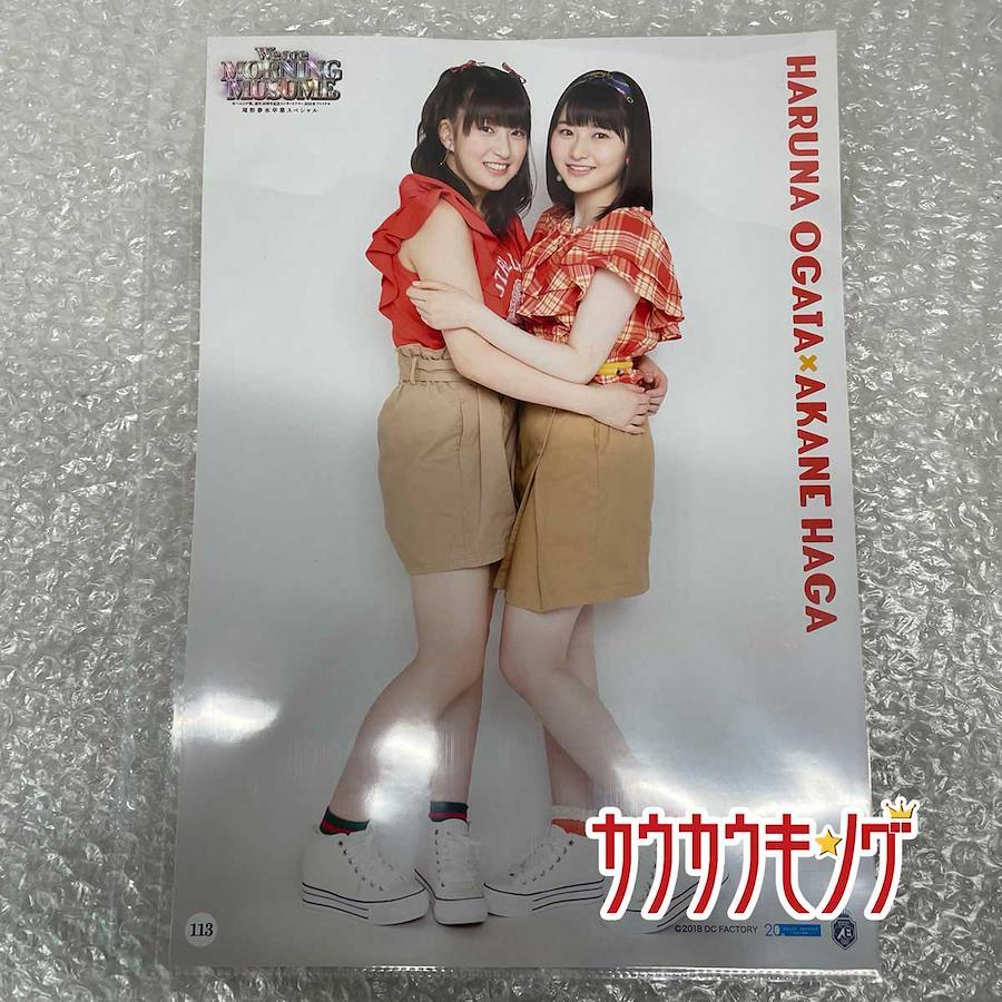 [Ikuta Erina / Ogata Harumi / Iikubo Haruna / Kaga Kaede] Collection pin-up poster 20th ...