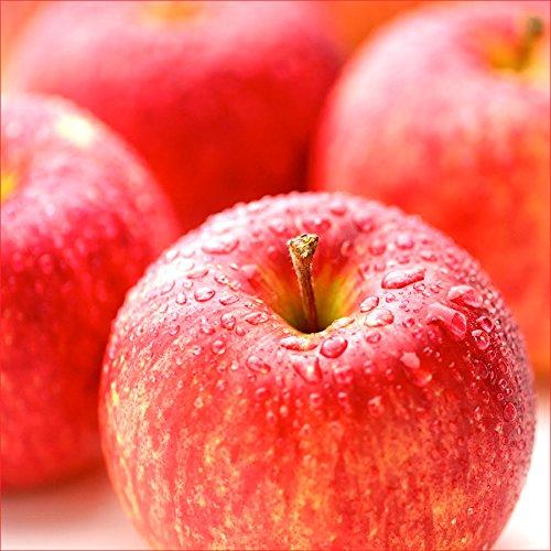 山形県産 あきたこまち 10kg 紙袋 令和2年度産 (5分づき 4.75kg×2袋) - 日本の商品を世界中にお届け | ZenPlus