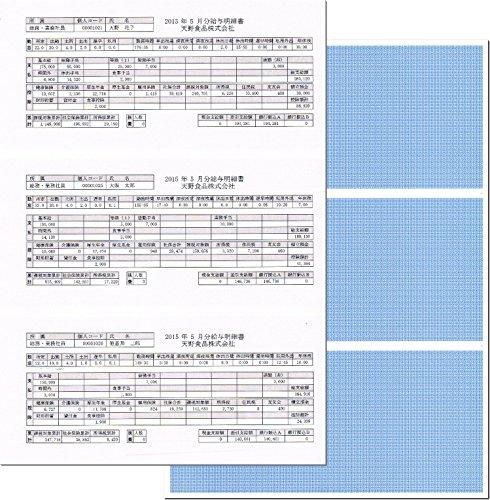 アマノ 給与明細書 2301001 互換 KP-300 300枚入り（900人分） - 日本の商品を世界中にお届け | ZenPlus