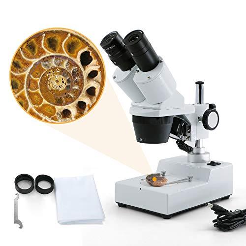 Light Source Microscope