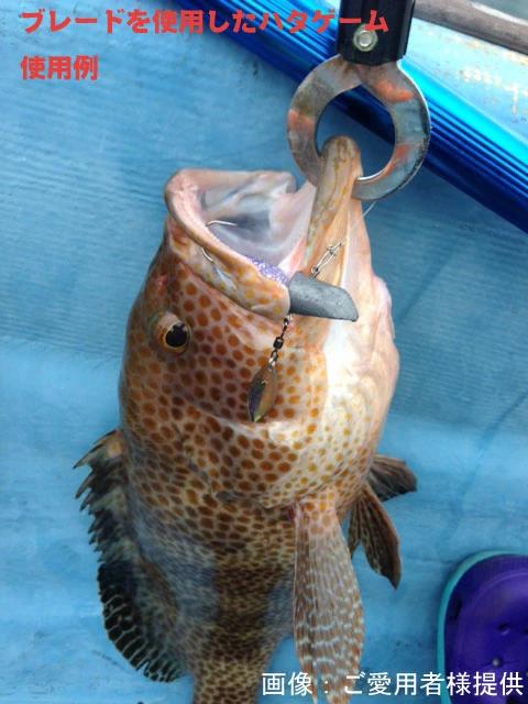 フジワラ ムゲンヘッド アシスト 35g 2個入 - 日本の商品を世界中にお届け | ZenPlus