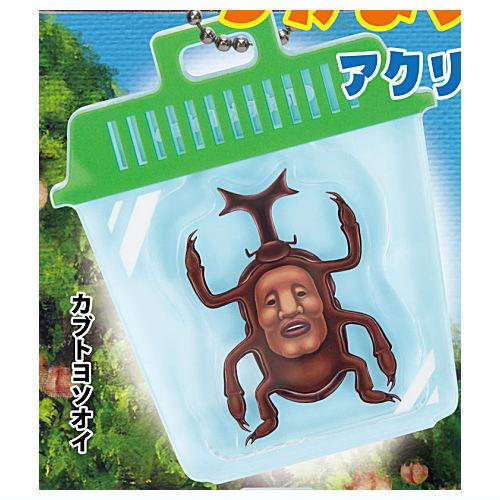 Buy I caught the dwarf! Mushikago acrylic key chain [1. Kabutoyosoi] [C] from Japan - Buy ...